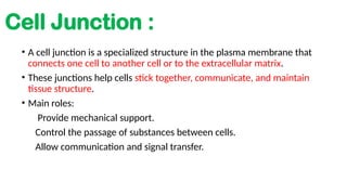 Tight Junction and Gap Junction(cell biology).pptx