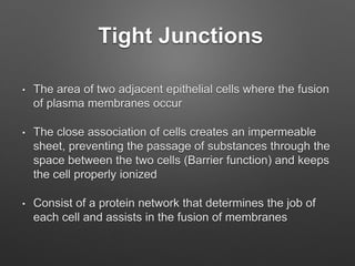 Tightjunction a&pmuih | PPTX