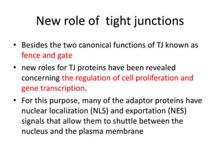 Tight junction & gene expression | PPTX