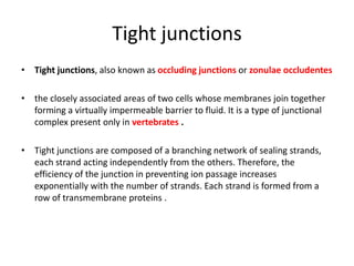 Tight junction & gene expression | PPTX
