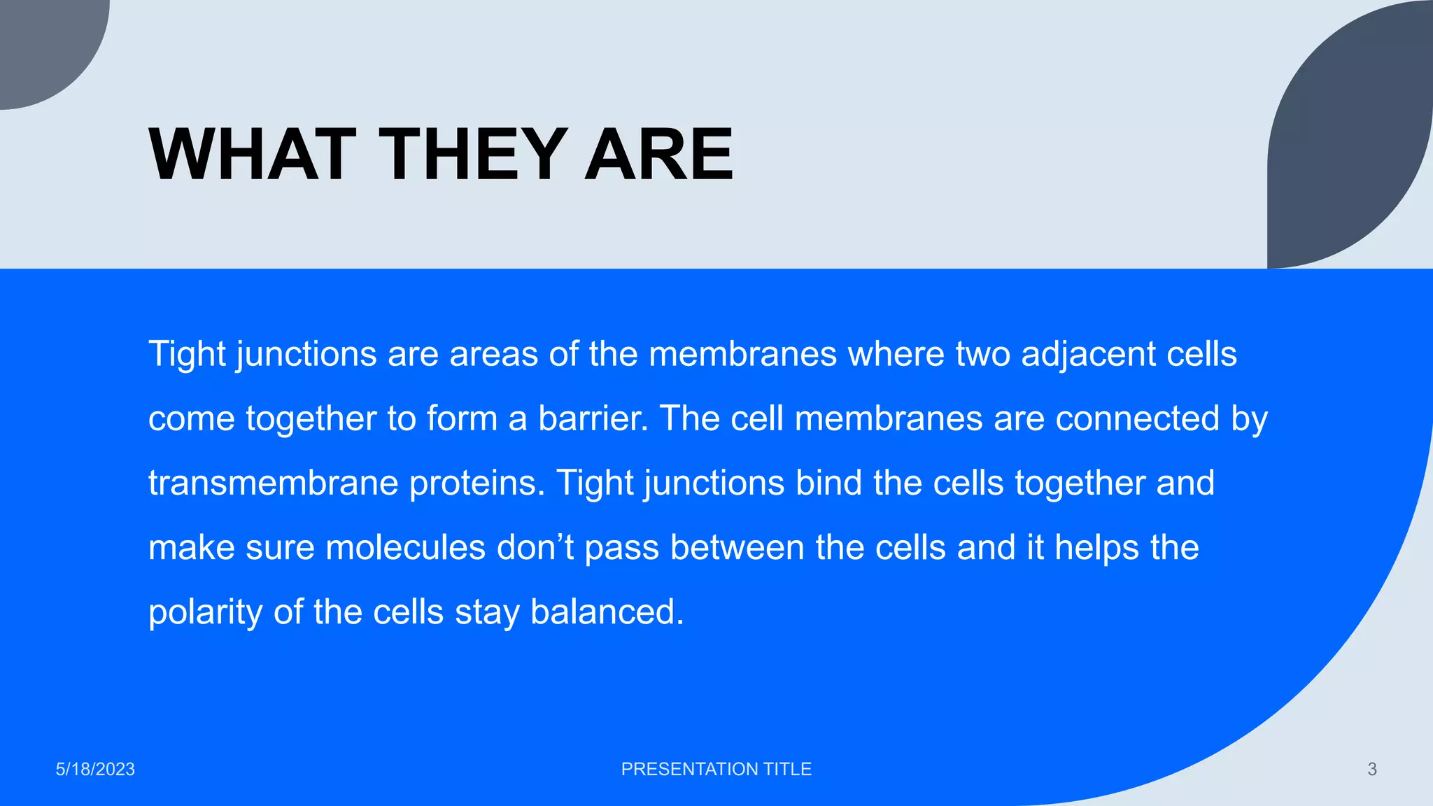 TIGHT JUNCTIONS.pptx