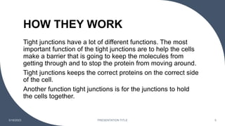 TIGHT JUNCTIONS.pptx