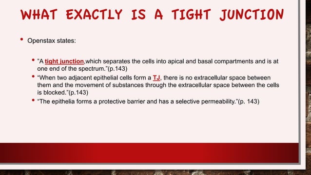 Tight junctions 1 | PDF | Digestive Disorders | Diseases and Conditions