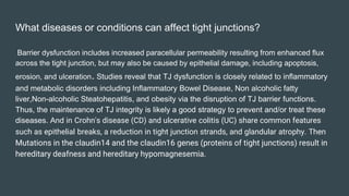 Tight junctions workshop - Vaishnavi Charanya Sundar- Physiology | PPTX
