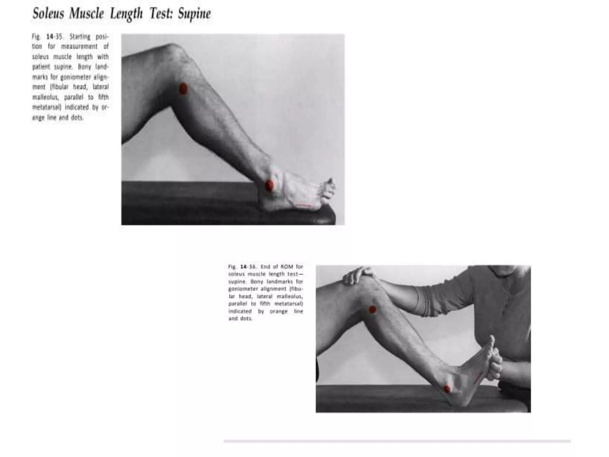Tightness test for lower quadrent muscle | PPTX