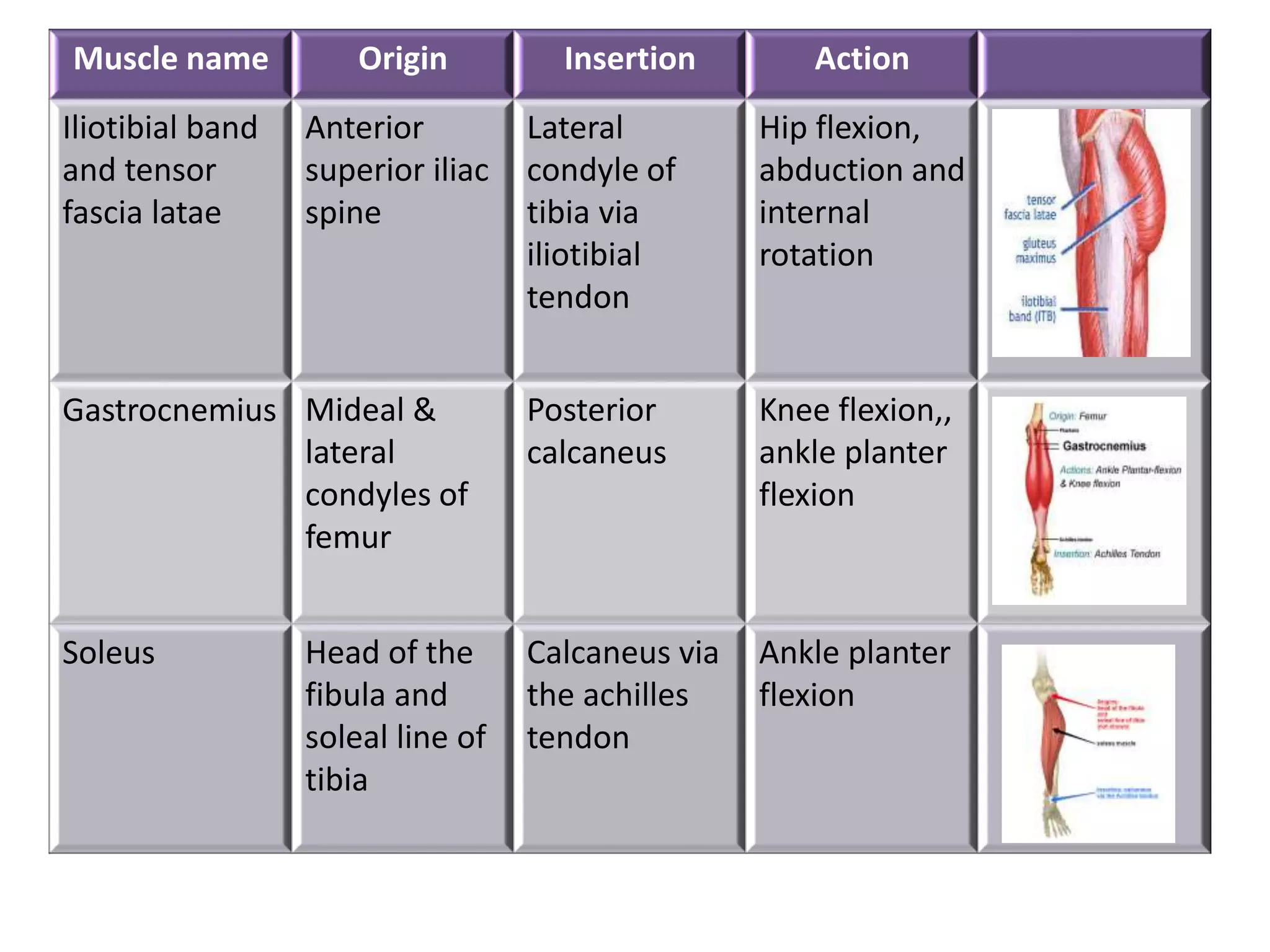 Tightness test for lower quadrent muscle | PPTX