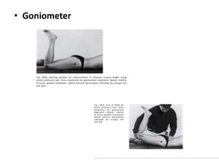 Tightness test for lower quadrent muscle | PPTX