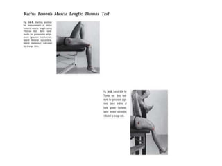 Tightness test for lower quadrent muscle | PPTX