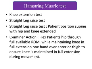 Tightness test for lower quadrent muscle | PPTX
