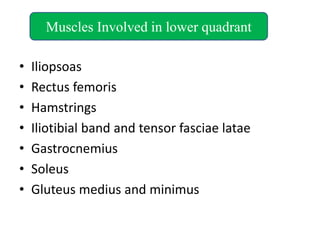 Tightness test for lower quadrent muscle | PPTX