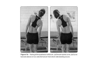 Tightness test for lower quadrent muscle | PPTX