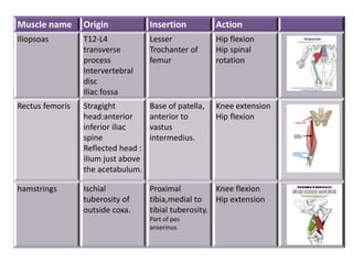 Tightness test for lower quadrent muscle | PPTX