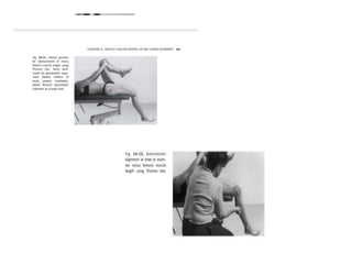 Tightness test for lower quadrent muscle | PPTX