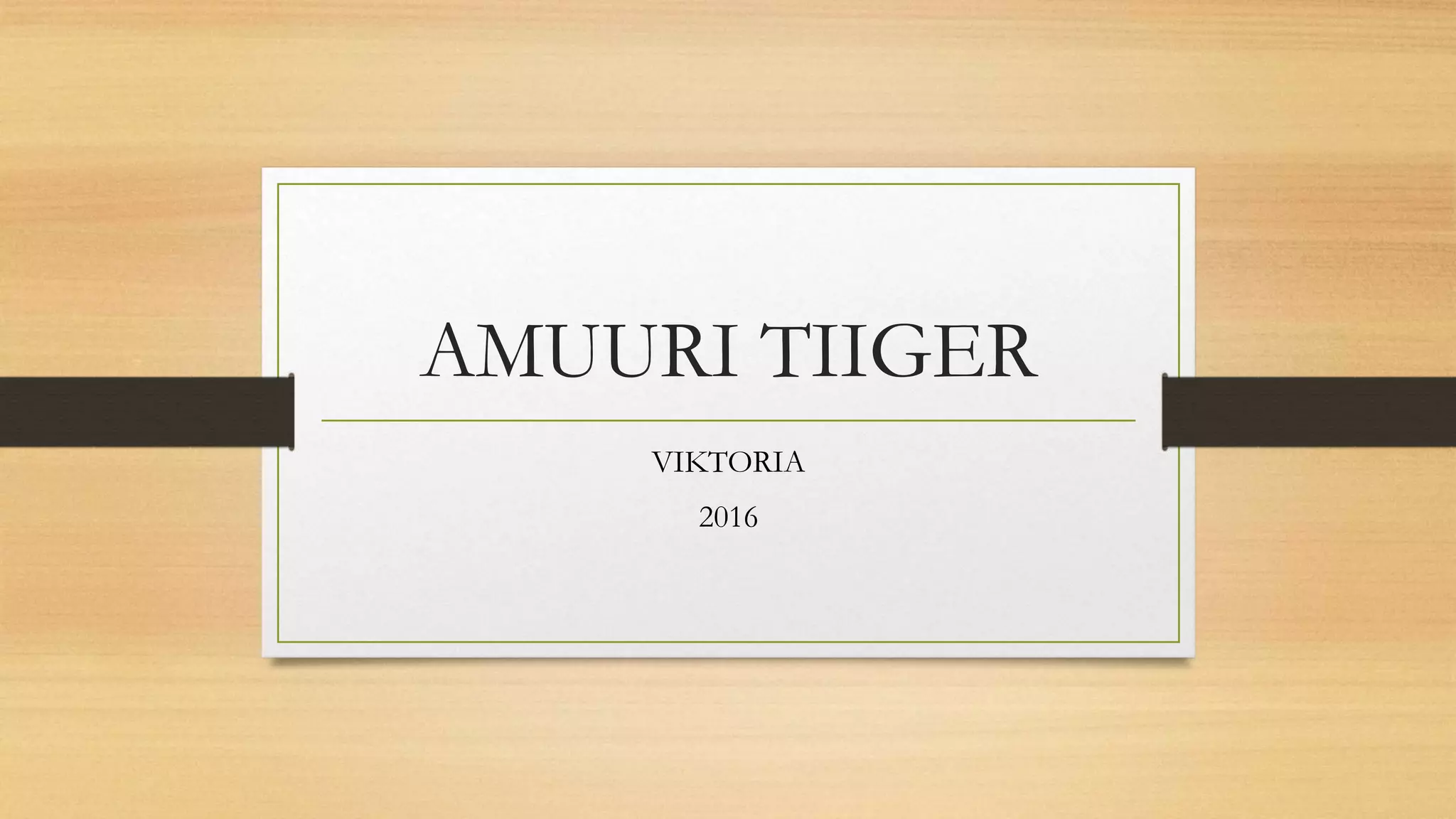 Tiiger | PPTX