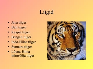 Tiigrid | PPT