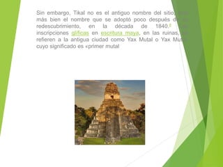 Tikal en el mundo maya | PPTX