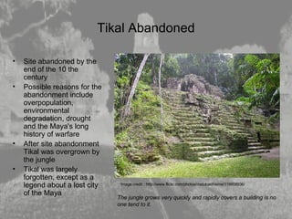 Tikal-The Ancient City of the Maya | PPT