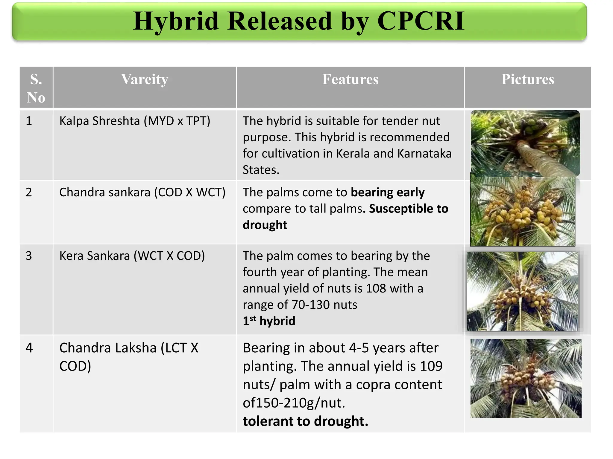Crop improvement in Coconut, Oilpalm, Avocado, Mangosteen, Pineapple ...