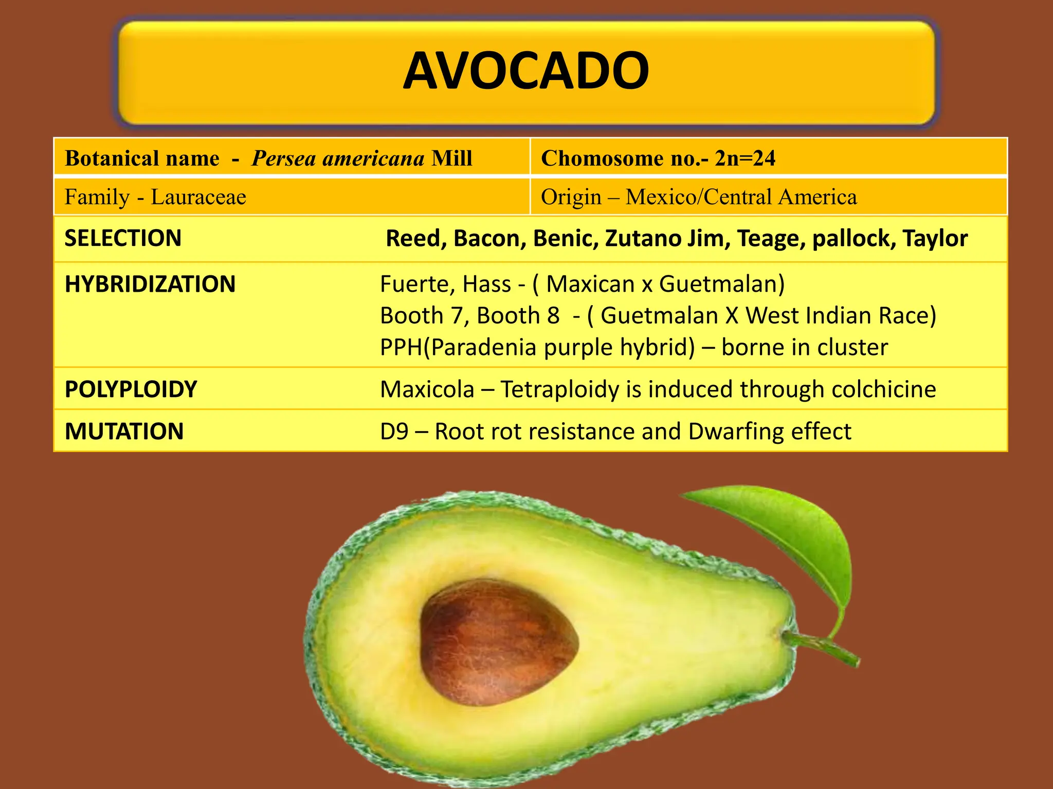 Crop improvement in Coconut, Oilpalm, Avocado, Mangosteen, Pineapple ...
