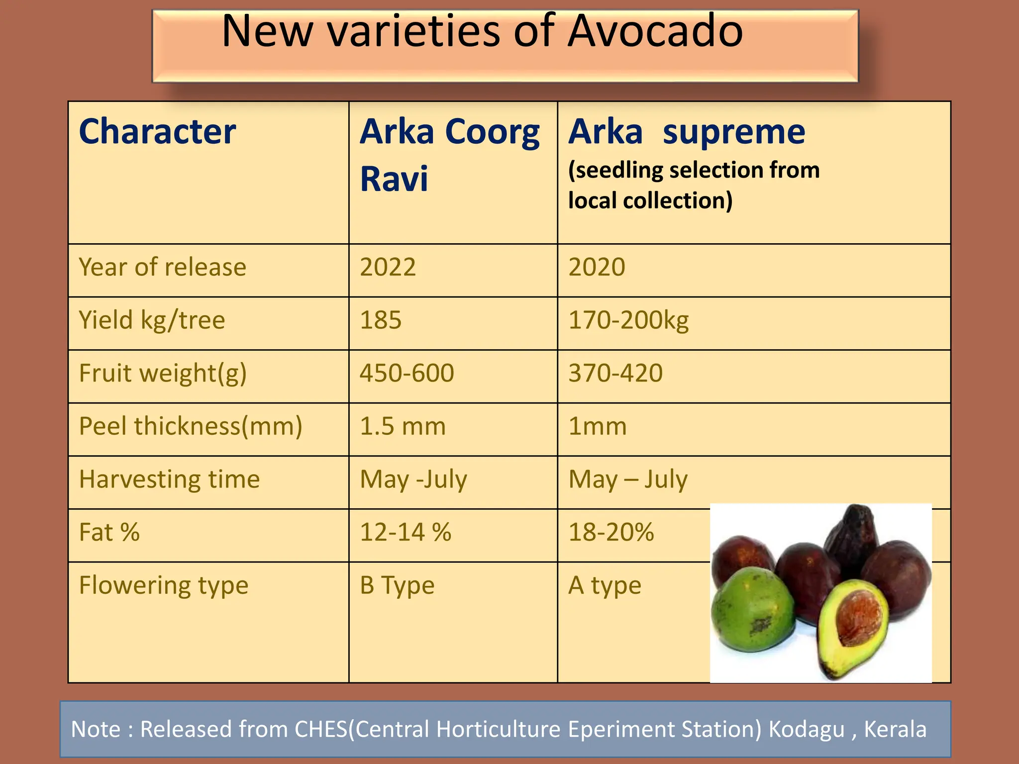 Crop improvement in Coconut, Oilpalm, Avocado, Mangosteen, Pineapple ...