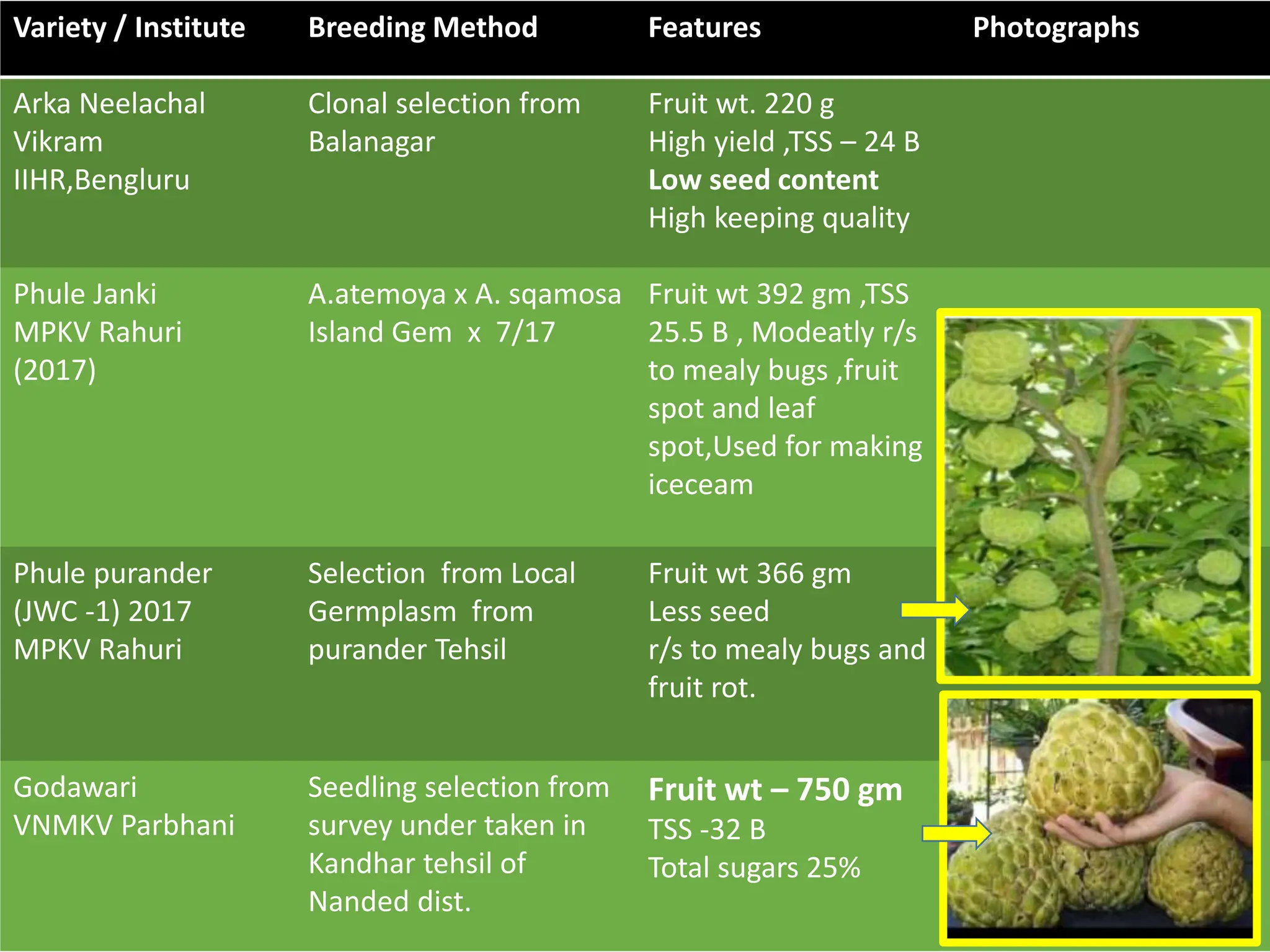Crop improvement in Coconut, Oilpalm, Avocado, Mangosteen, Pineapple ...