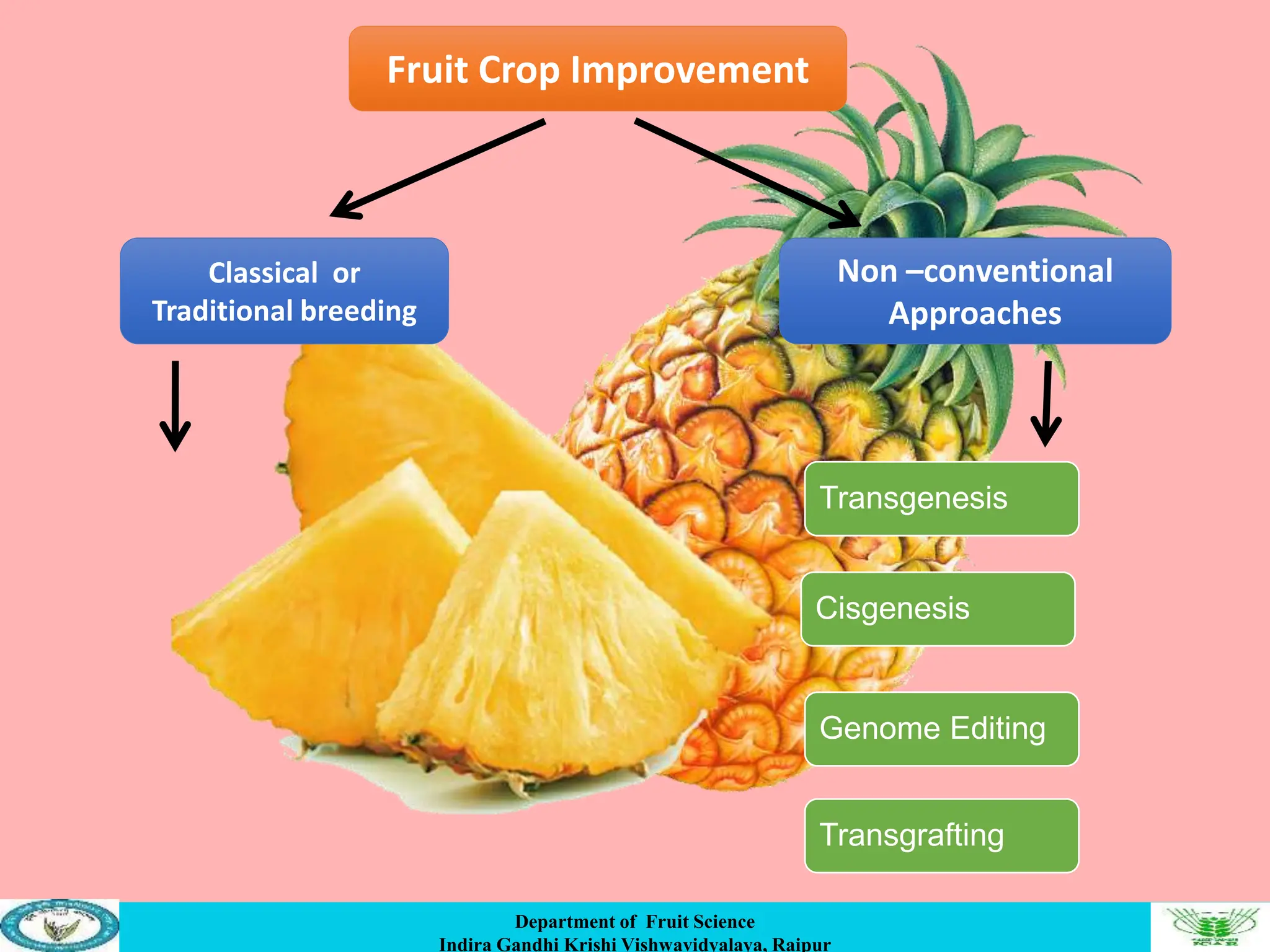 Crop improvement in Coconut, Oilpalm, Avocado, Mangosteen, Pineapple ...