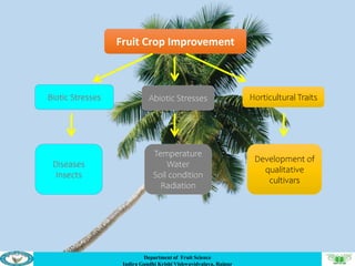 Crop improvement in Coconut, Oilpalm, Avocado, Mangosteen, Pineapple ...