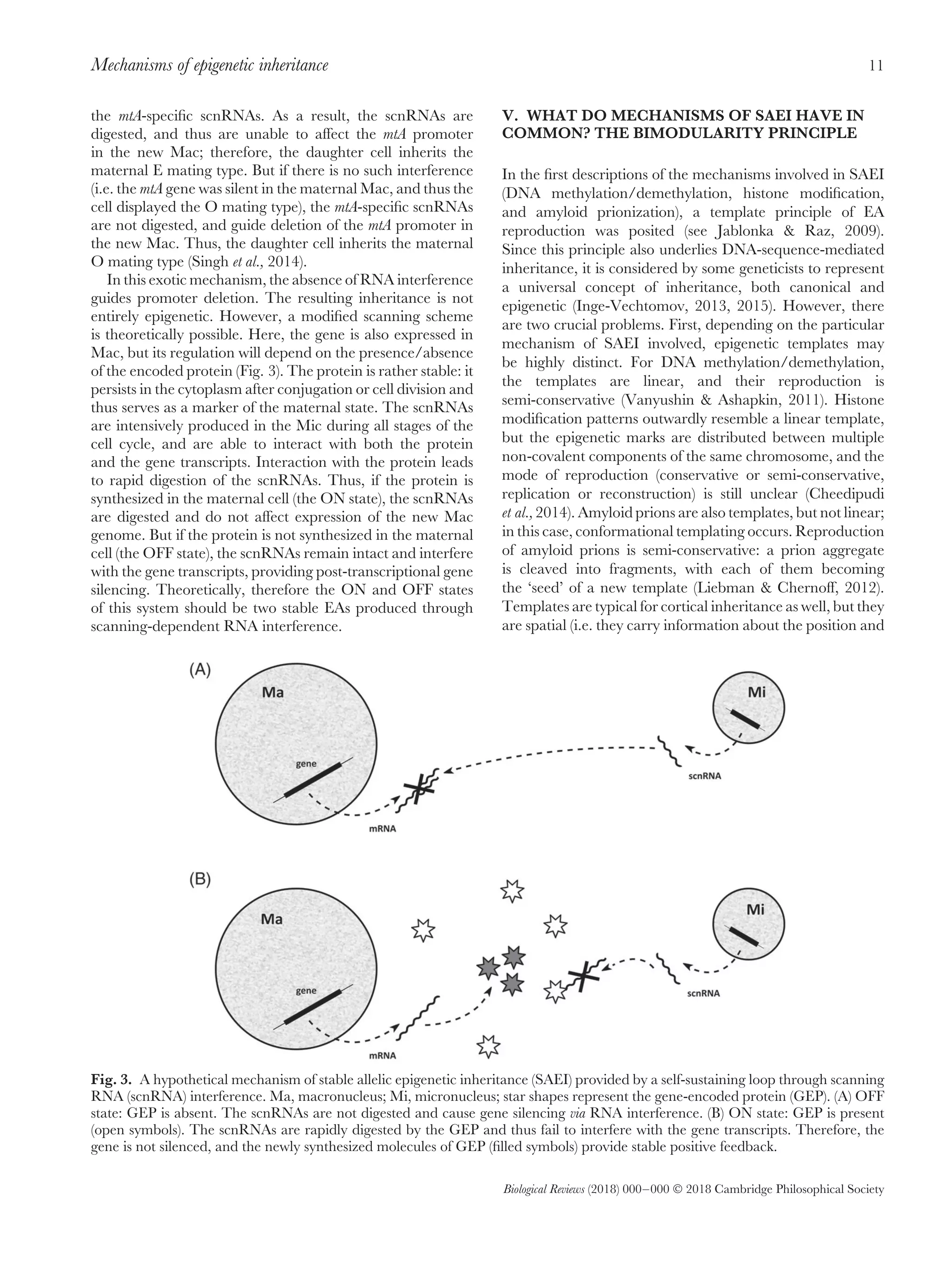 The mechanisms of epigenetic inheritance: how diverse are they? | PDF