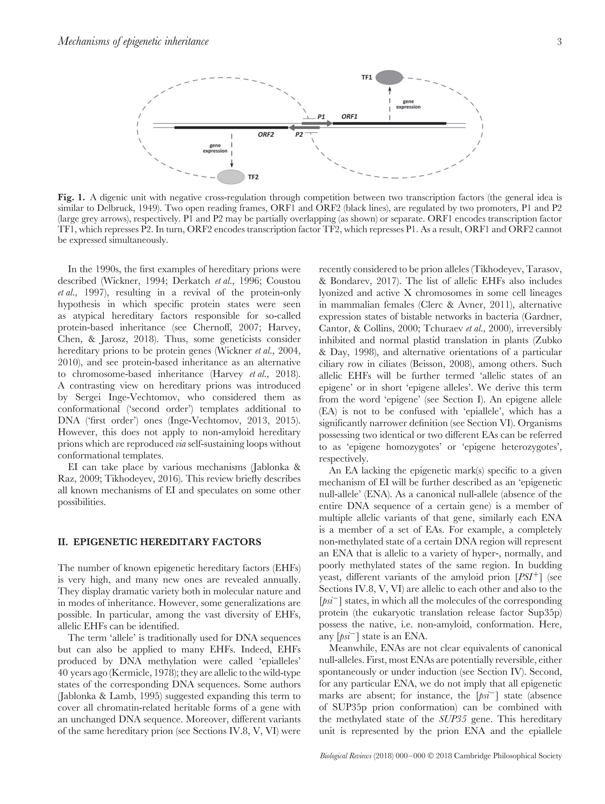 The mechanisms of epigenetic inheritance: how diverse are they? | PDF