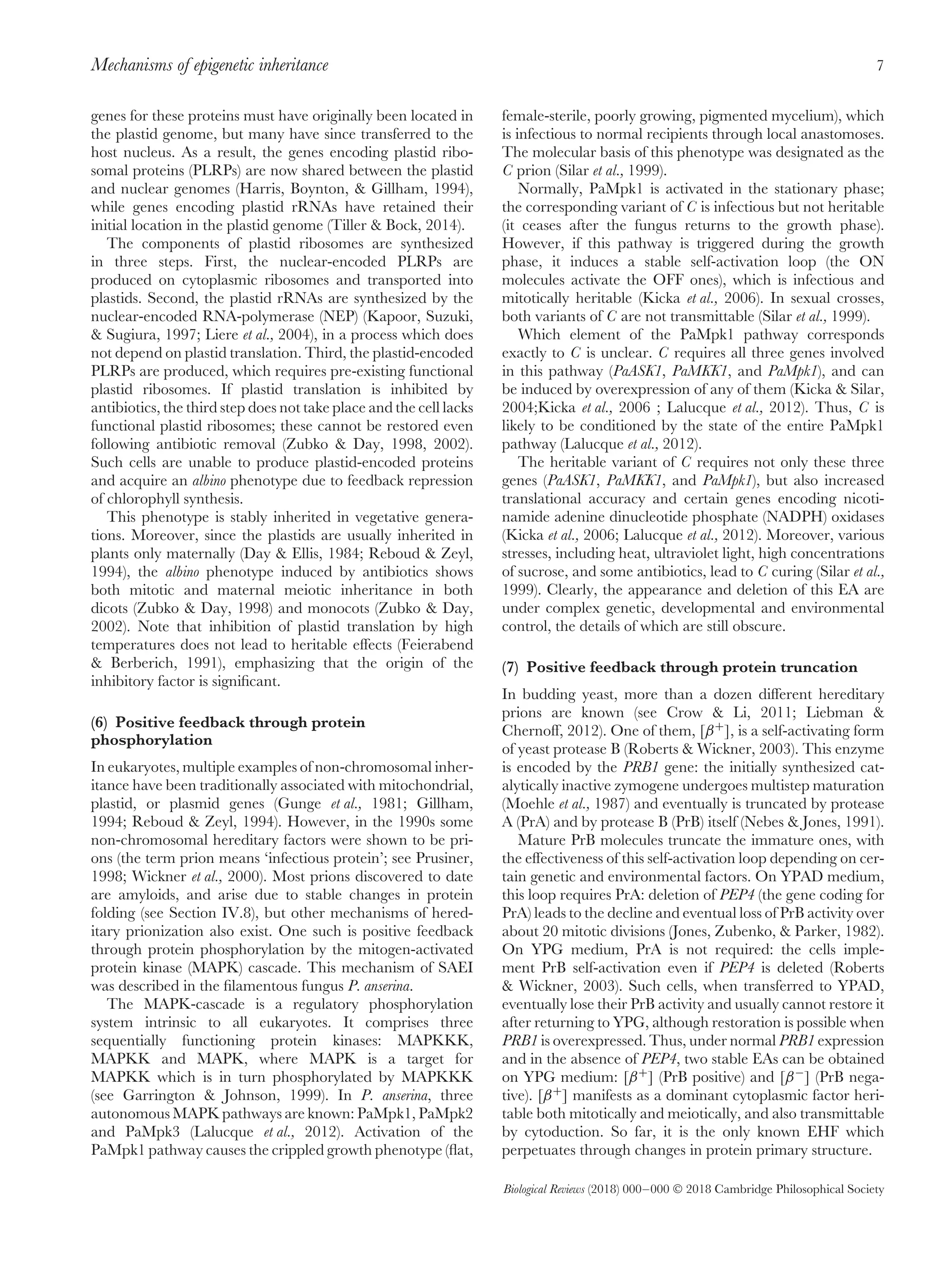 The mechanisms of epigenetic inheritance: how diverse are they? | PDF