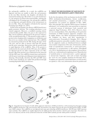 The mechanisms of epigenetic inheritance: how diverse are they? | PDF