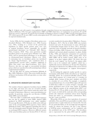The mechanisms of epigenetic inheritance: how diverse are they? | PDF