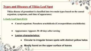 Tikka Disease types and symptoms.pdf ... | PDF
