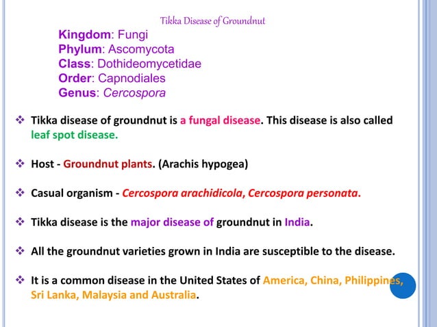 Tikka Disease Of Groundnutpptx