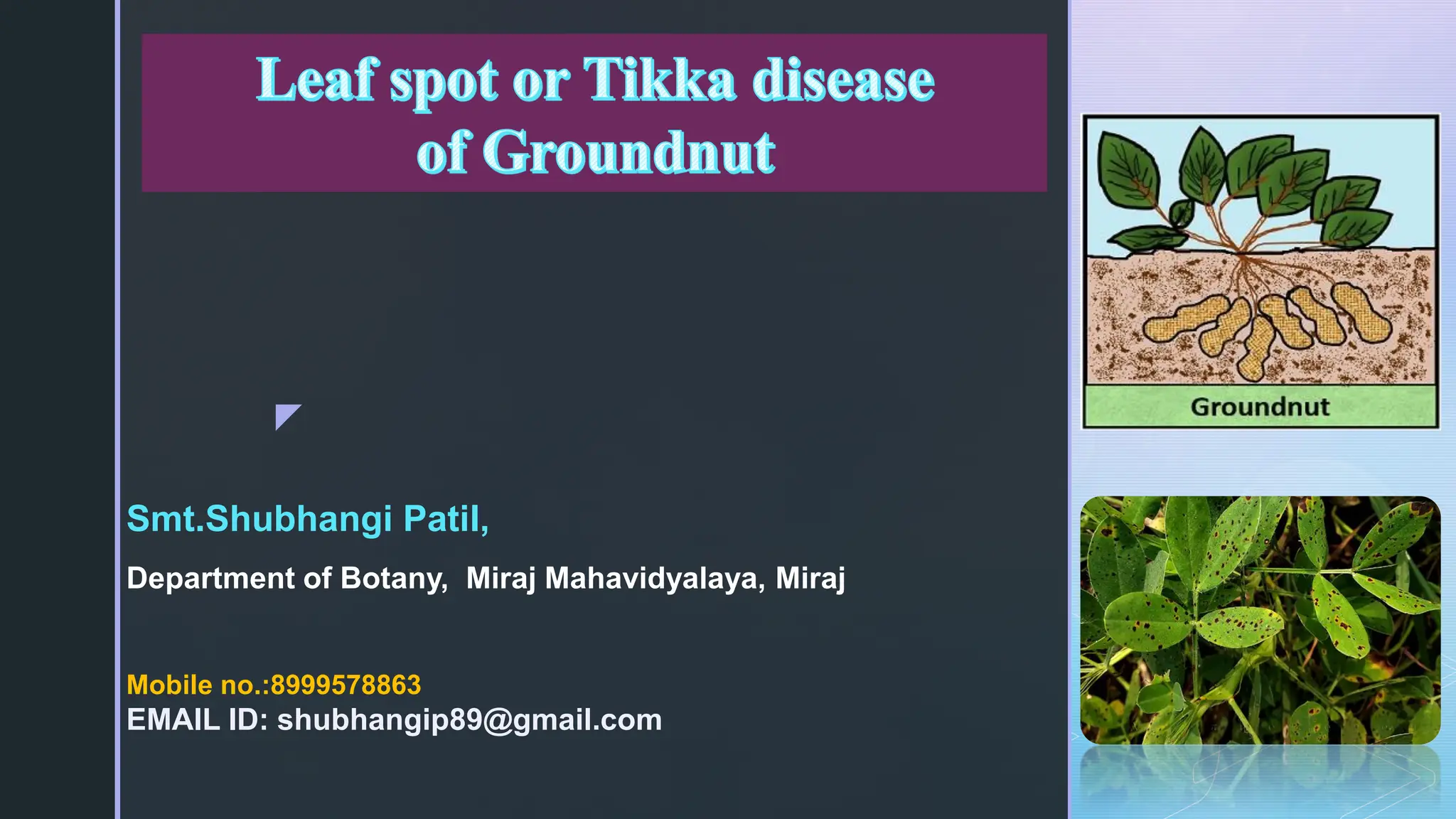 TIKKA DISEASE OF GROUNDNUT.pdf