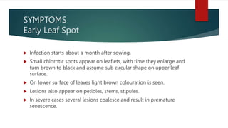 Tikka Leaf Spot Of Groundnut.pptx