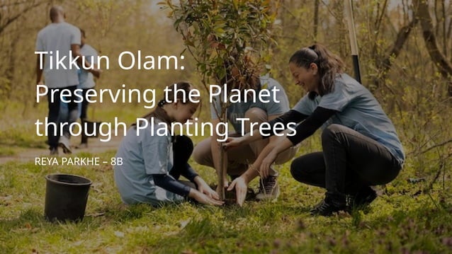 Tikkun Olam Preserving the Planet through Planting Trees | PPT