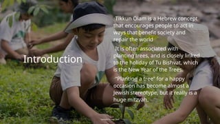 Tikkun Olam Preserving the Planet through Planting Trees | PPT