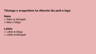 Tikologo ya legokolodi la marega.19.pptx