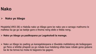 Tikologo ya legokolodi la marega.19.pptx