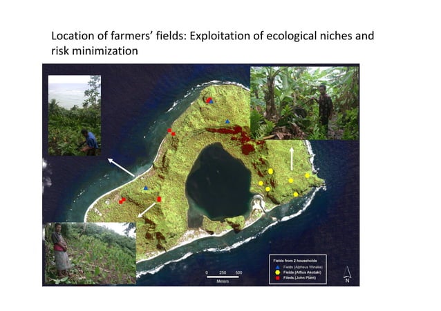 Tikopia: A climate smart, sustainable and multifunctional island | PDF