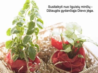 Tikras pasninkas | PPS