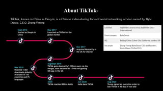 Tik tok (Overview of Business Model and analyzing the Business Strategy ...
