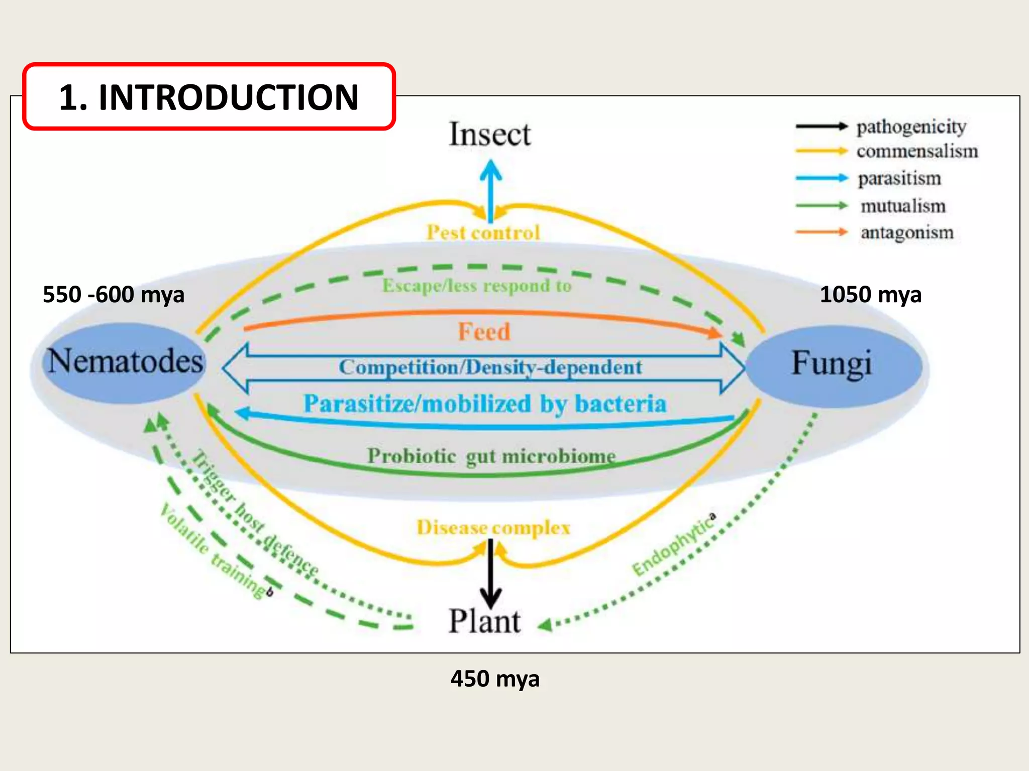 Fungi-Nematode Interaction: Diversity, Ecology and Bio-control Prospects in Agriculture | PPTX