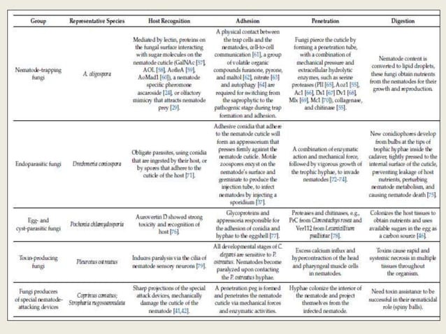 Fungi-Nematode Interaction: Diversity, Ecology and Bio-control Prospects in Agriculture | PPTX