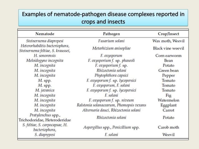 Fungi-Nematode Interaction: Diversity, Ecology and Bio-control Prospects in Agriculture | PPTX