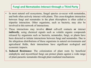 Fungi-Nematode Interaction: Diversity, Ecology and Bio-control Prospects in Agriculture | PPTX