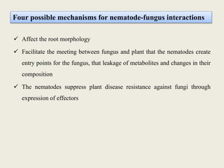 Fungi-Nematode Interaction: Diversity, Ecology and Bio-control Prospects in Agriculture | PPTX