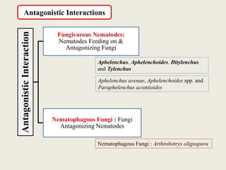 Fungi-Nematode Interaction: Diversity, Ecology and Bio-control Prospects in Agriculture | PPTX