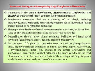 Fungi-Nematode Interaction: Diversity, Ecology and Bio-control Prospects in Agriculture | PPTX
